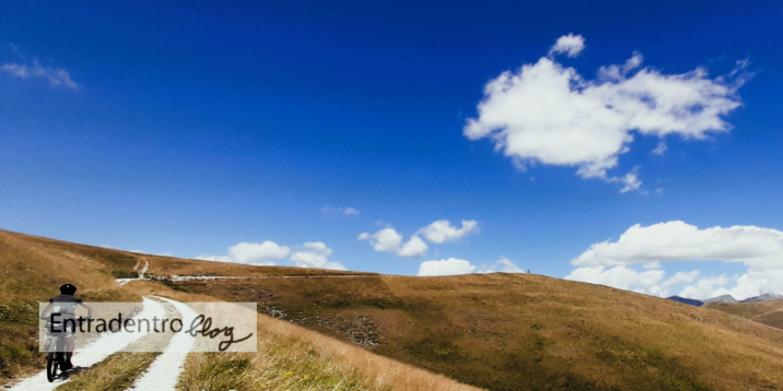 Lo scopo - EntraDentro • respira, sorridi, agisci.